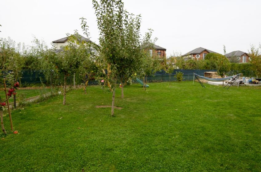 CASA CIPRIAN SAVA – Locations Hub